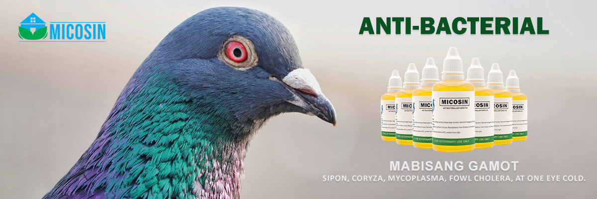 MICOSIN SUPPLY, Online Shop | Shopee Philippines