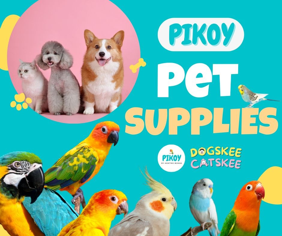 Shopee Philippines | Shop Online with Promos and Vouchers