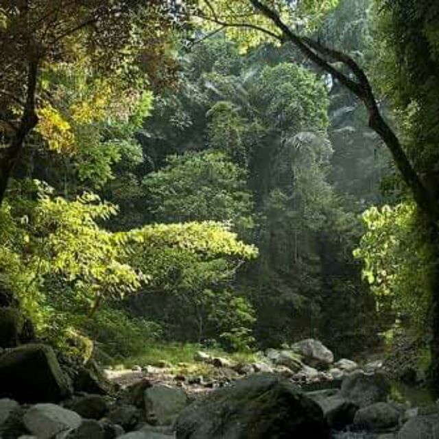 bundok banahaw, Online Shop | Shopee Philippines