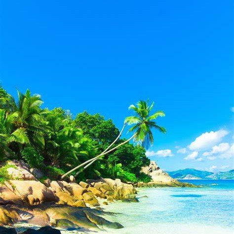 COCO NET, Online Shop | Shopee Philippines