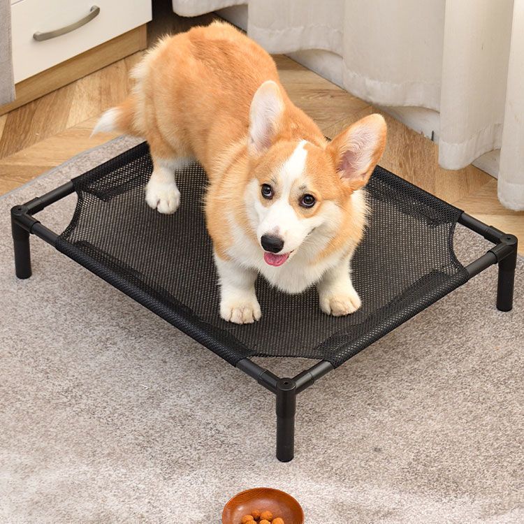 Bai Hui, Online Shop | Shopee Philippines