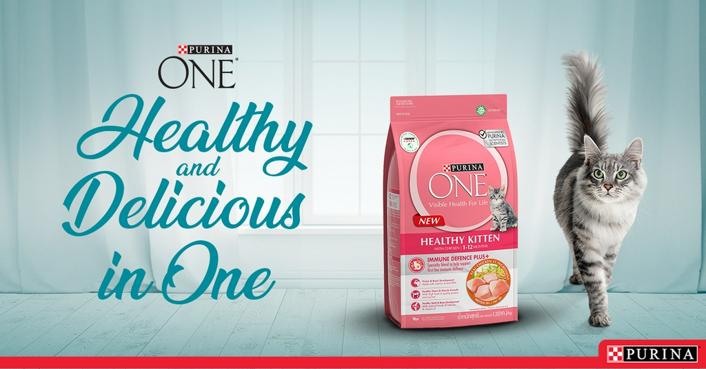 PURINA OFFICIAL STORE, Online Shop | Shopee Philippines