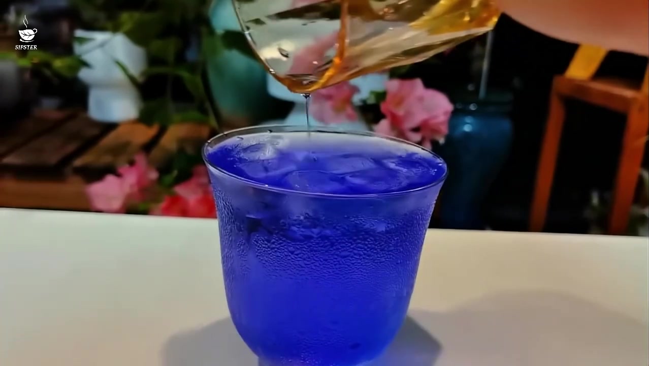 Sipster , Online Shop | Shopee Philippines