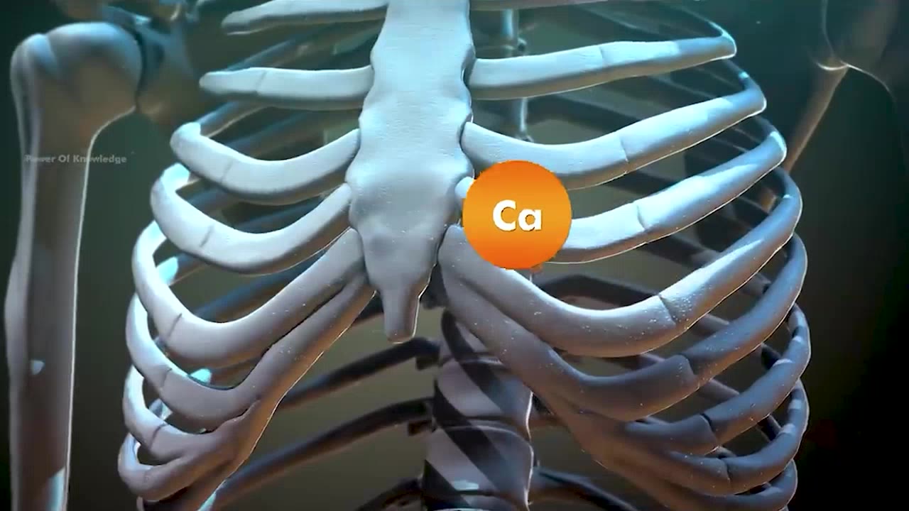 Healyn Canxi Gold, Online Shop | Shopee Philippines