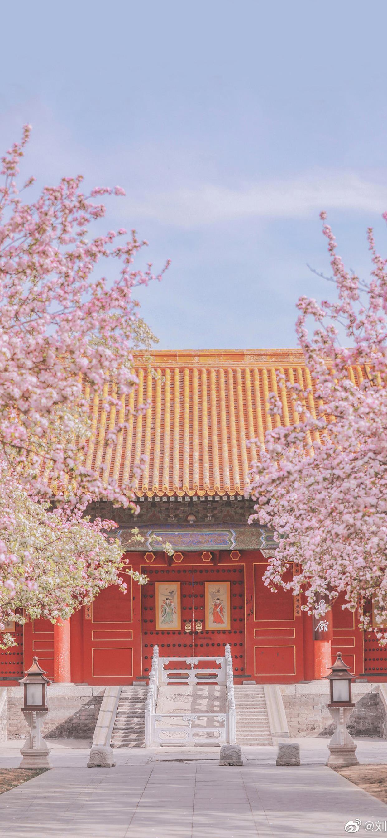 uxy3v63ntt, Online Shop | Shopee Philippines