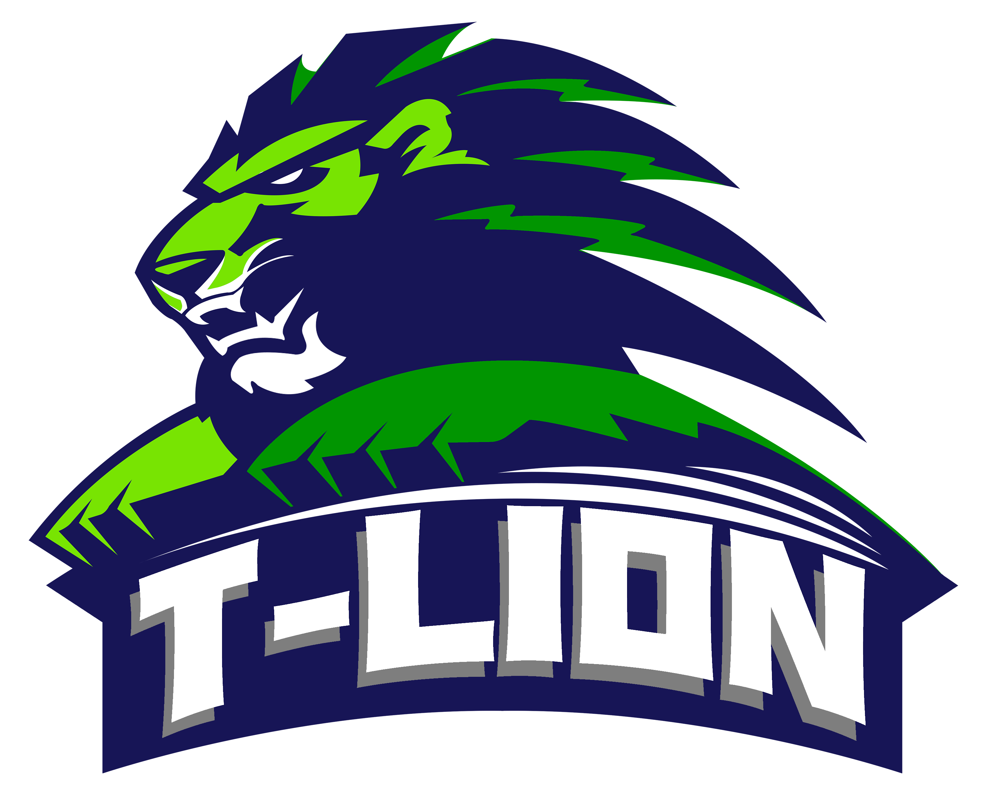 T-Lion Shoes Shop, Online Shop | Shopee Philippines