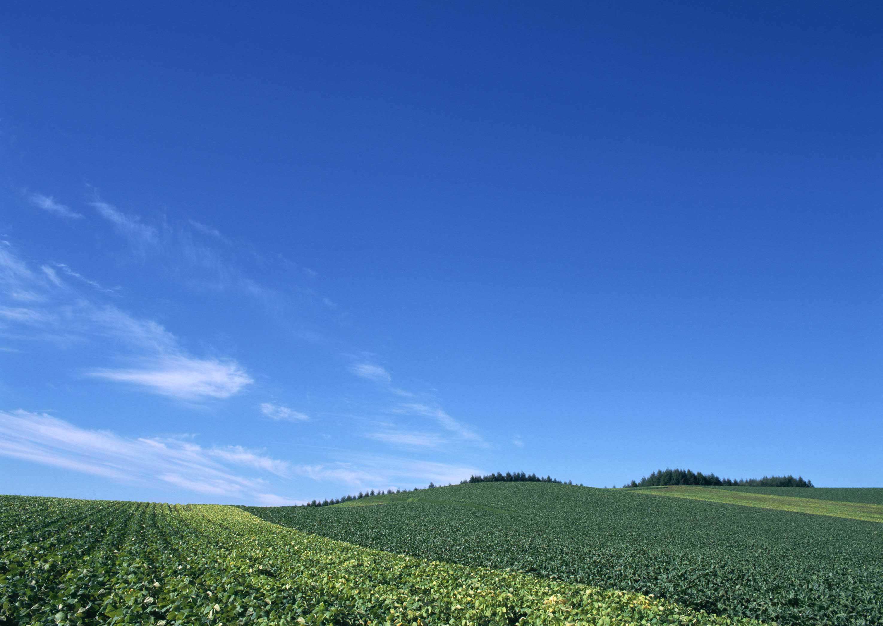 ujir3y_7ik, Online Shop | Shopee Philippines