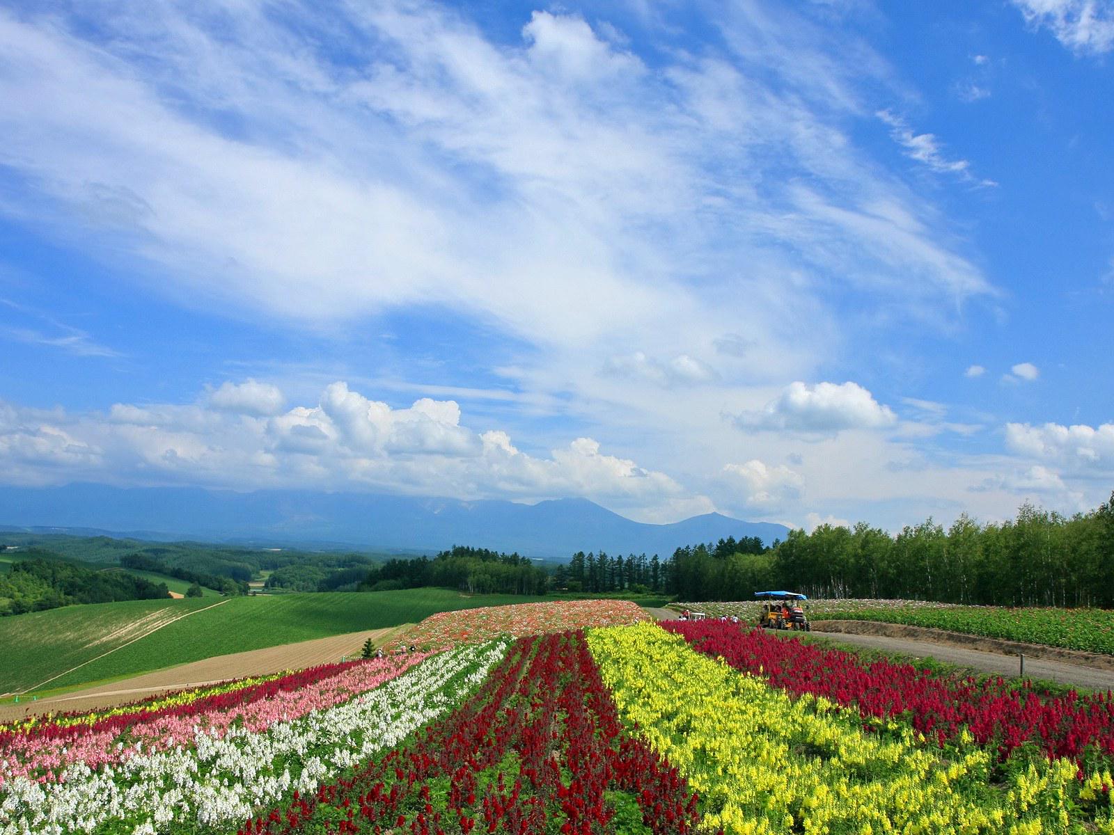 xo145hsv7t, Online Shop | Shopee Philippines