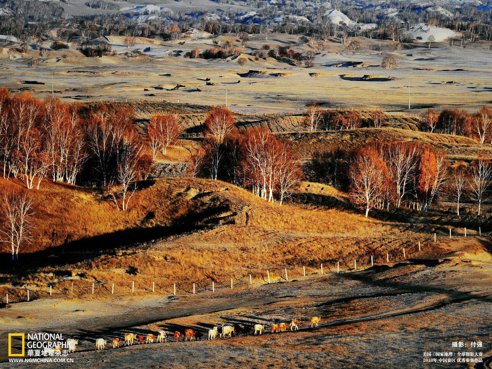 y_7e2n8vti, Online Shop | Shopee Philippines