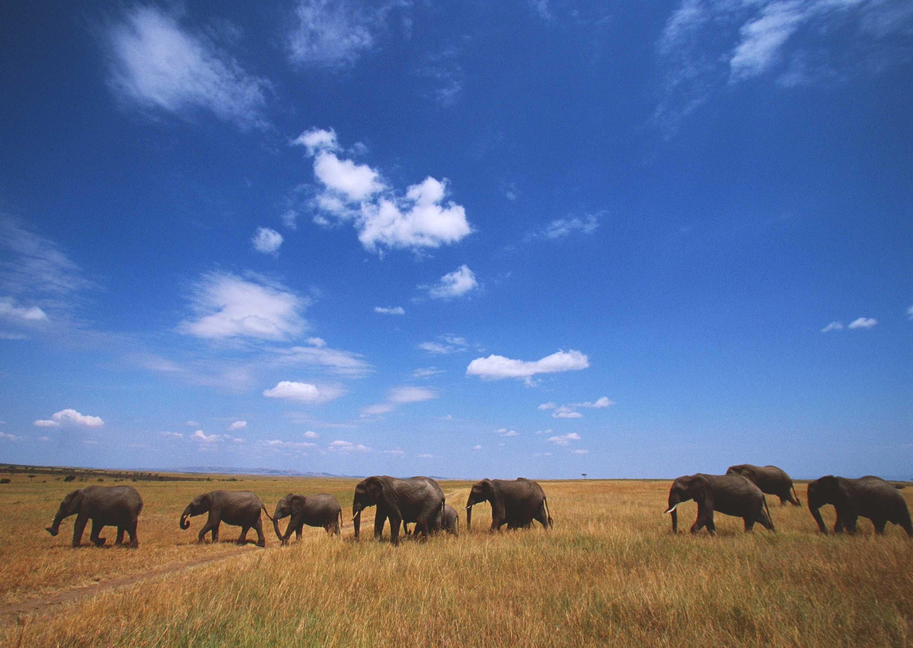 yfslbp0c0j, Online Shop | Shopee Philippines