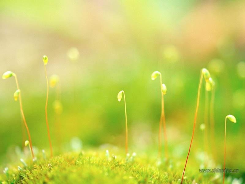 swie9sq6fp, Online Shop | Shopee Philippines