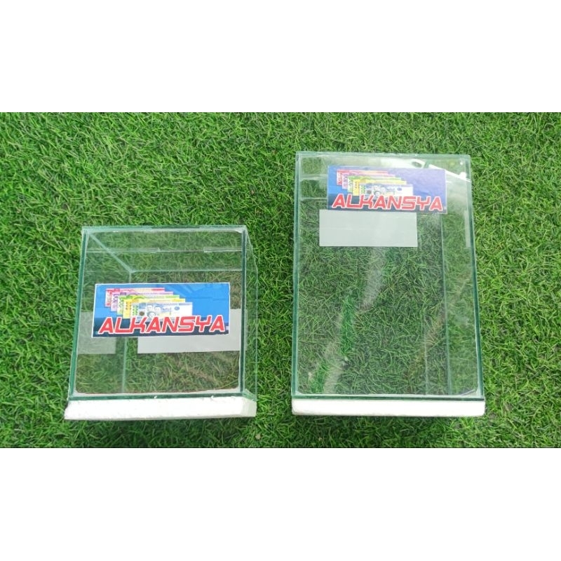 Master Fish, Online Shop | Shopee Philippines