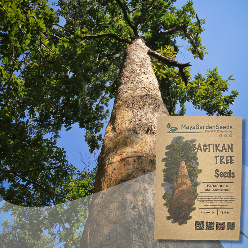 Bagtikan Tree