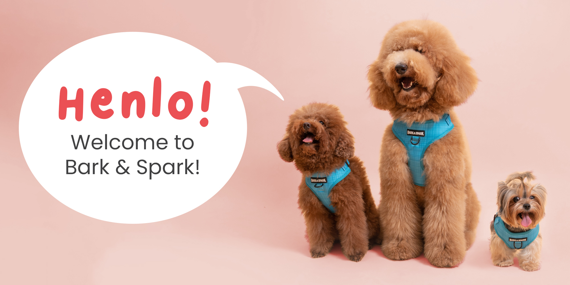 Bark & Spark, Online Shop | Shopee Philippines
