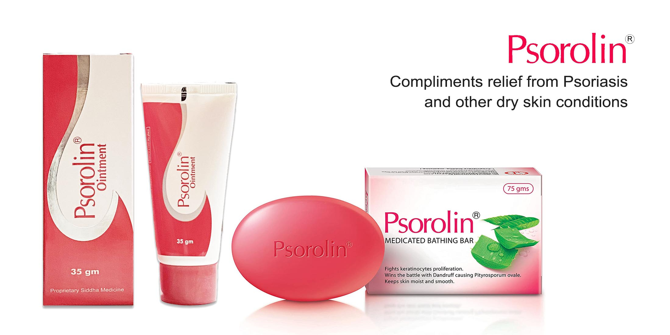 AccuRX, Online Shop | Shopee Philippines