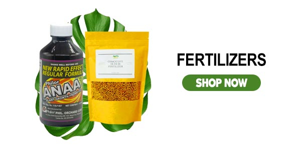 Agrify Philippines, Online Shop | Shopee Philippines