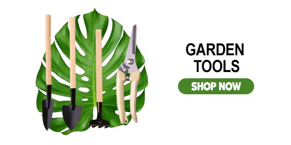 Agrify Philippines, Online Shop | Shopee Philippines