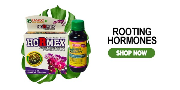 Agrify Philippines, Online Shop | Shopee Philippines