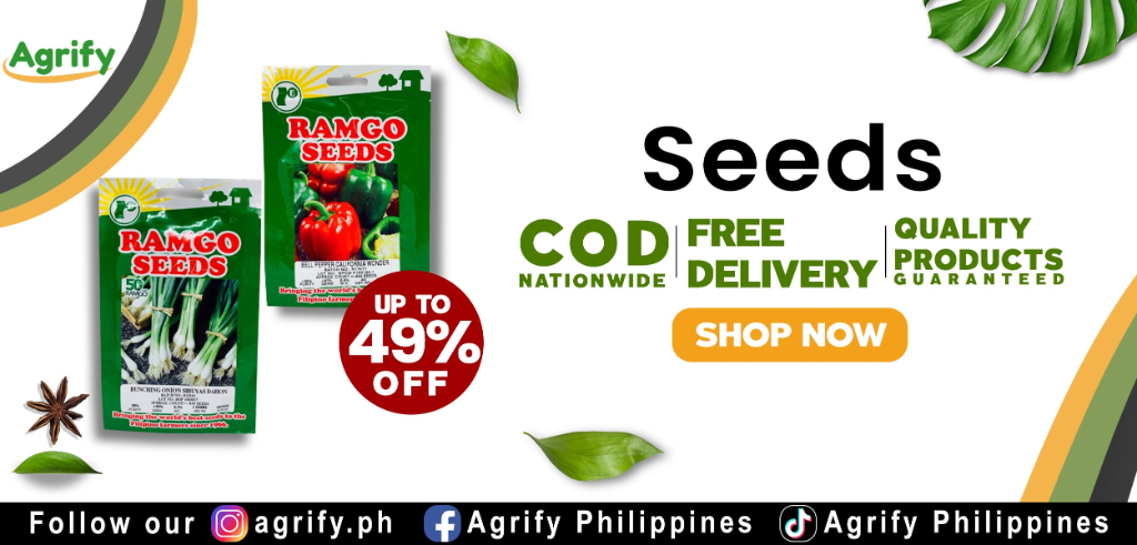 Agrify Philippines, Online Shop | Shopee Philippines
