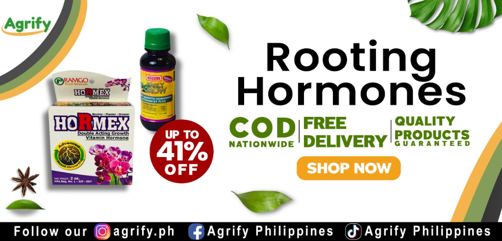 Agrify Philippines, Online Shop | Shopee Philippines
