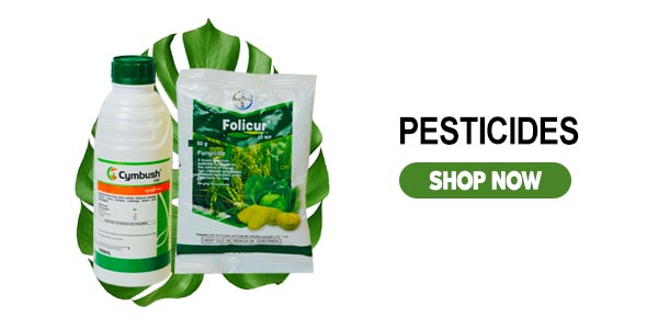 Agrify Philippines, Online Shop | Shopee Philippines