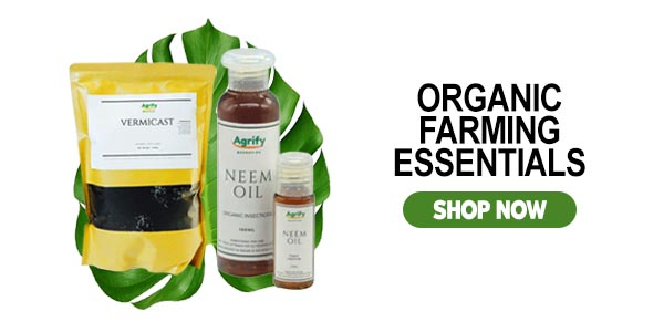 Agrify Philippines, Online Shop | Shopee Philippines