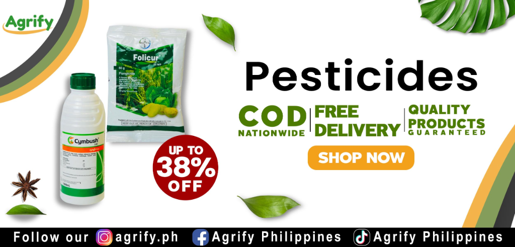 Agrify Philippines, Online Shop | Shopee Philippines