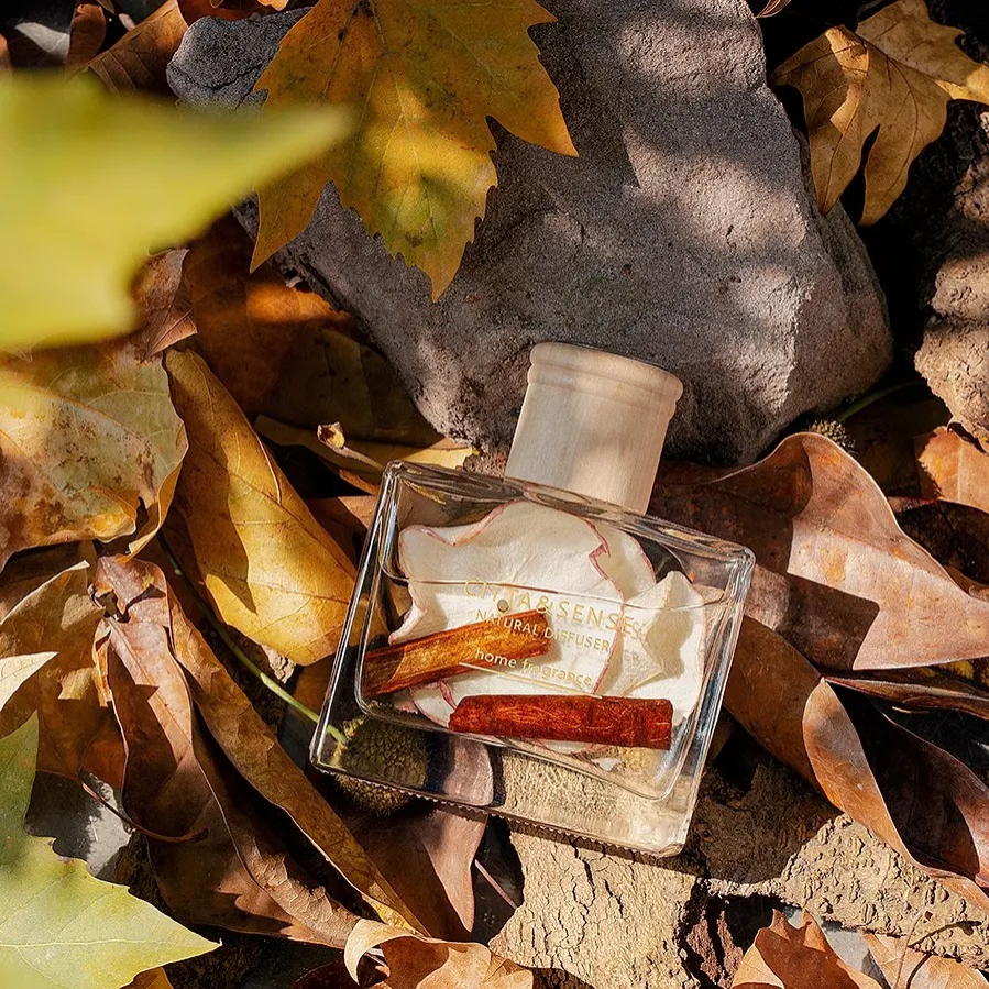 The Skin Alchemist, Online Shop | Shopee Philippines