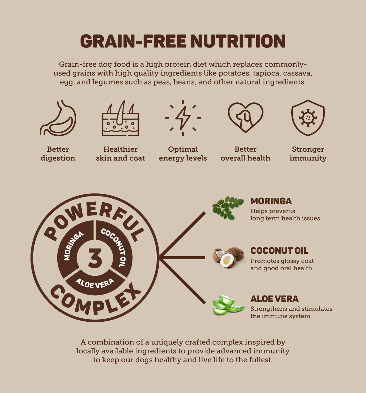 Petchola Store, Online Shop | Shopee Philippines