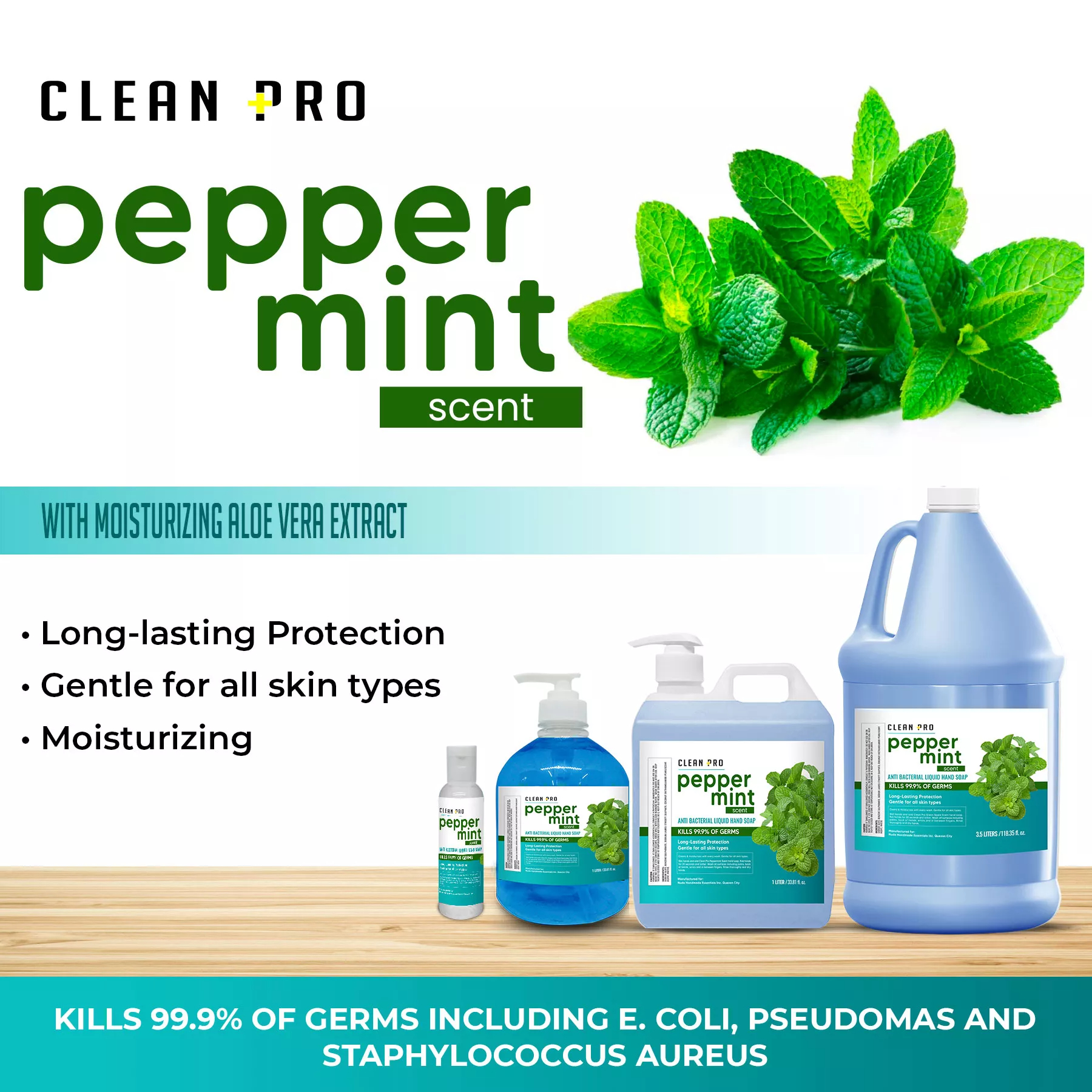 CLEANPRO, Online Shop | Shopee Philippines