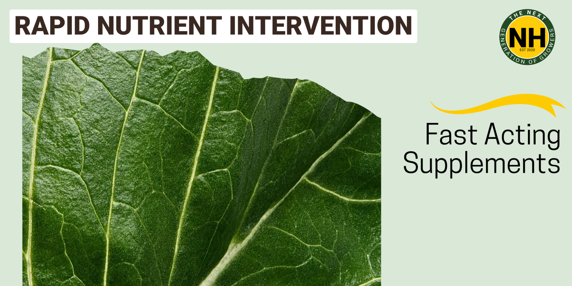 NutriHydro Store, Online Shop | Shopee Philippines