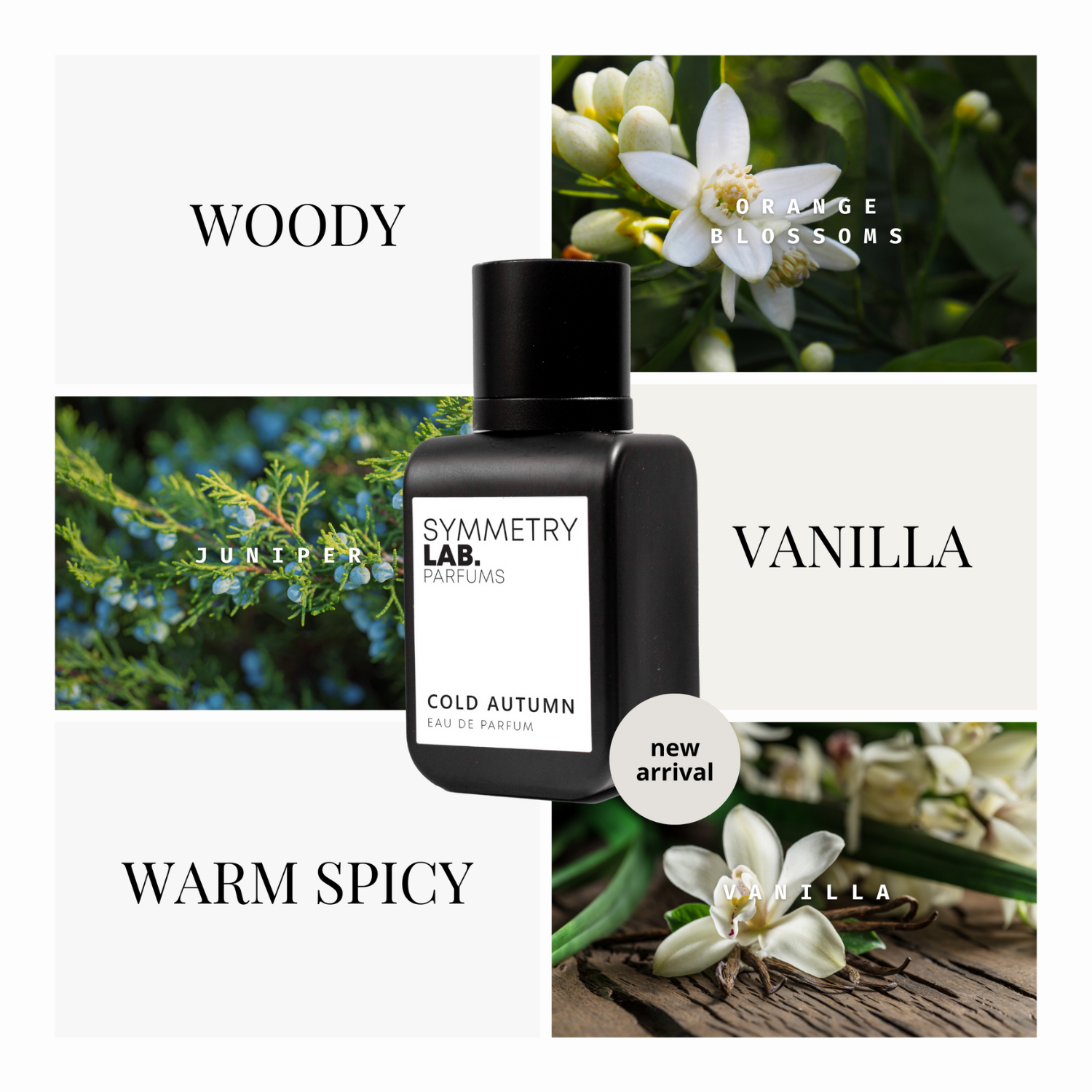 SYMMETRY LAB PARFUMS, Online Shop | Shopee Philippines