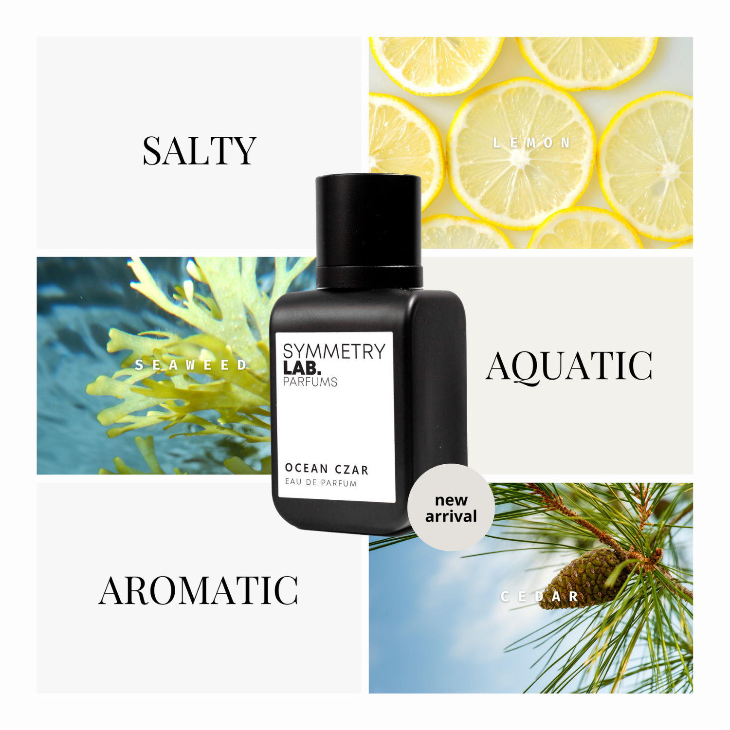 SYMMETRY LAB PARFUMS, Online Shop | Shopee Philippines