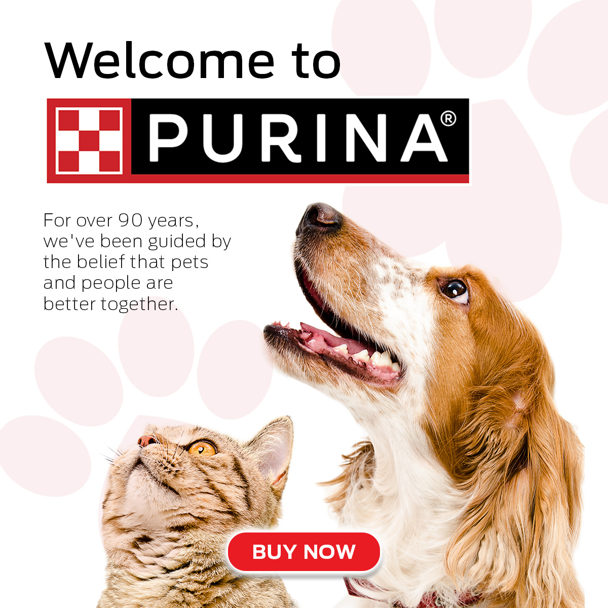 Nestlé Purina, Online Shop | Shopee Philippines