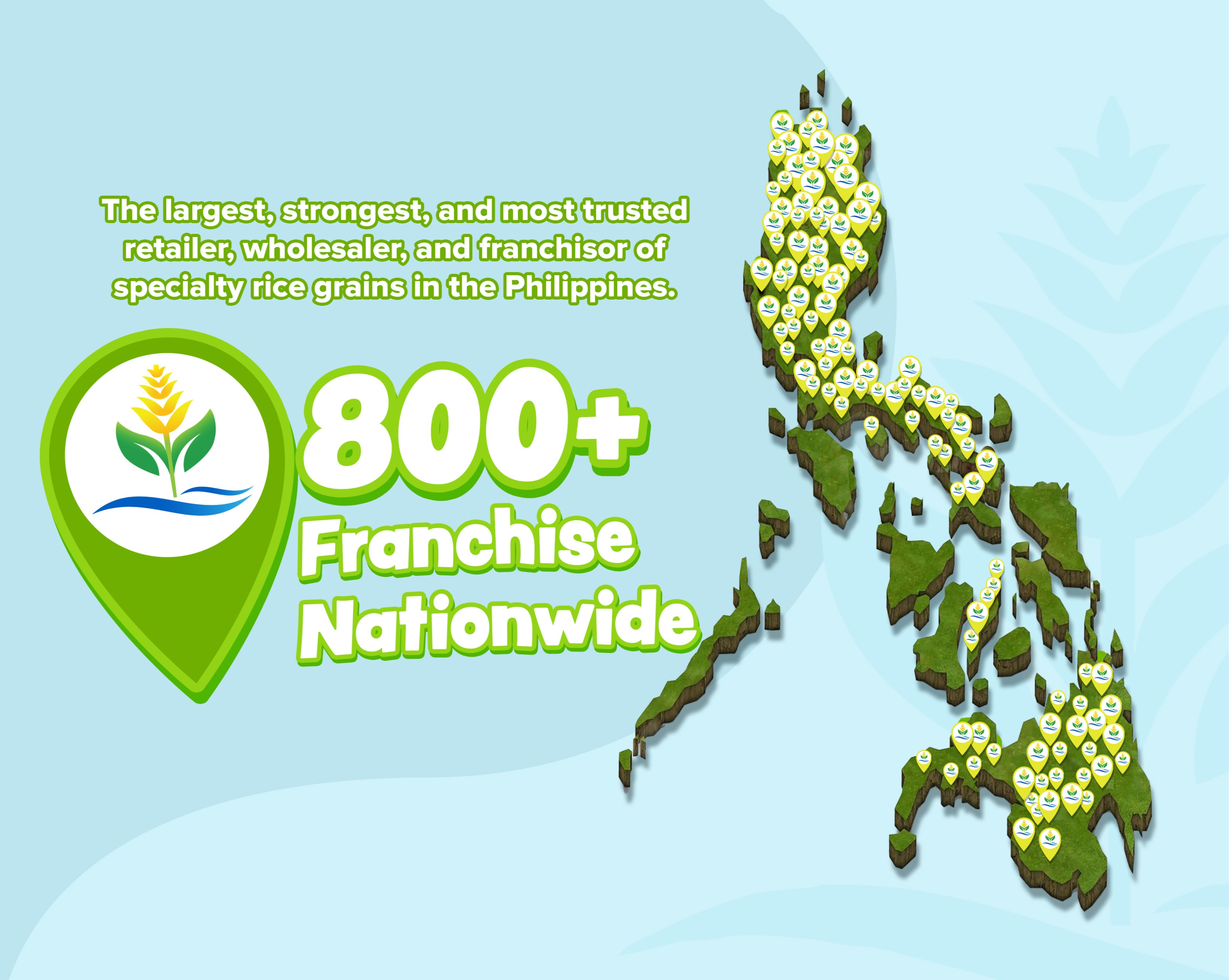 Grainsmart Rice, Online Shop | Shopee Philippines