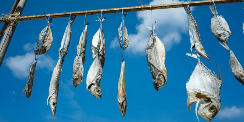Estancia's Direct Dried Fish, Online Shop | Shopee Philippines