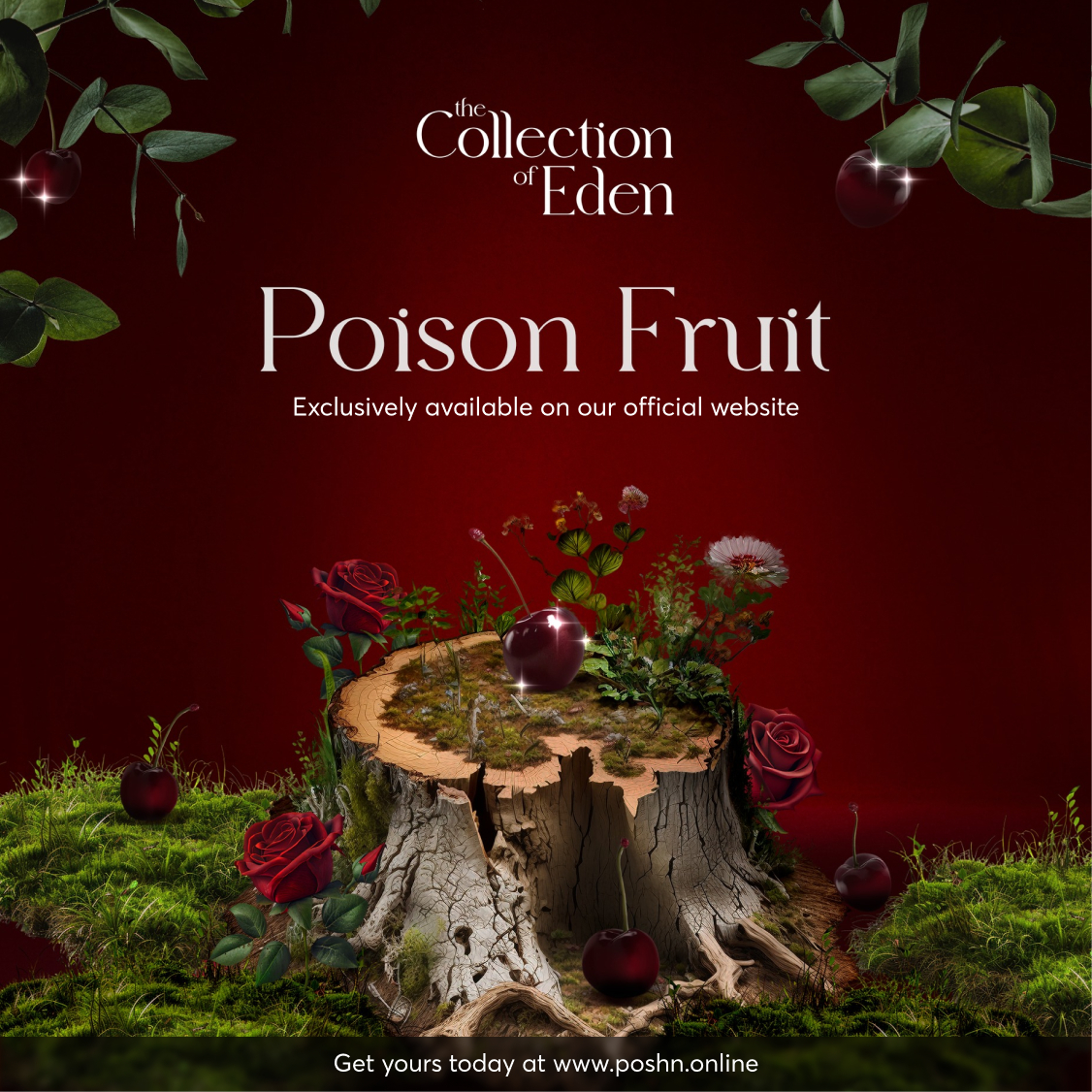 Poshń, Online Shop | Shopee Philippines