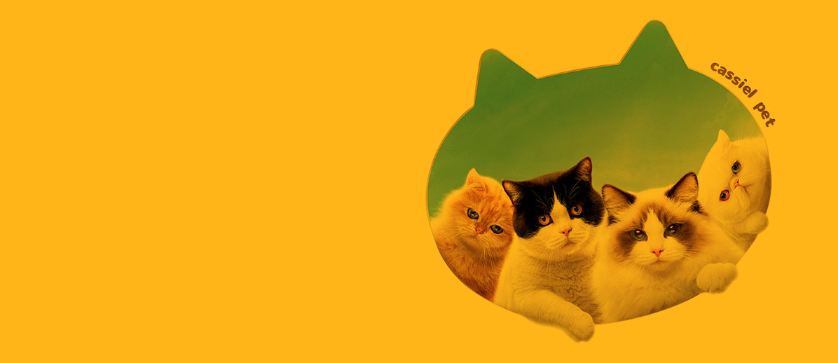 CASSIEL PETMALL, Online Shop | Shopee Philippines