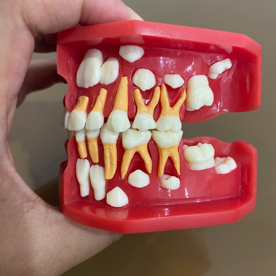 Dental Mats, Online Shop | Shopee Philippines