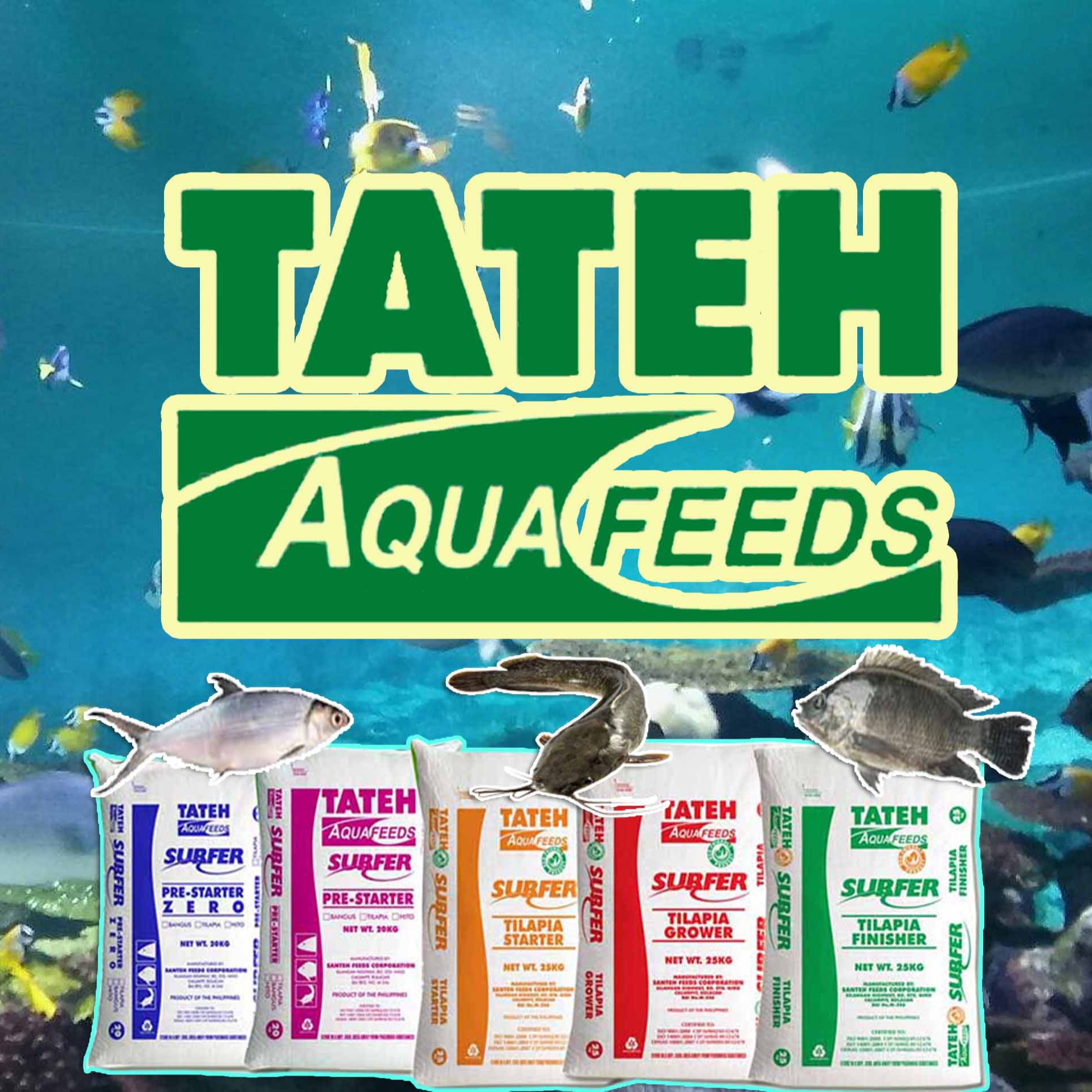 CAVITE TATEH FEEDS, Online Shop | Shopee Philippines