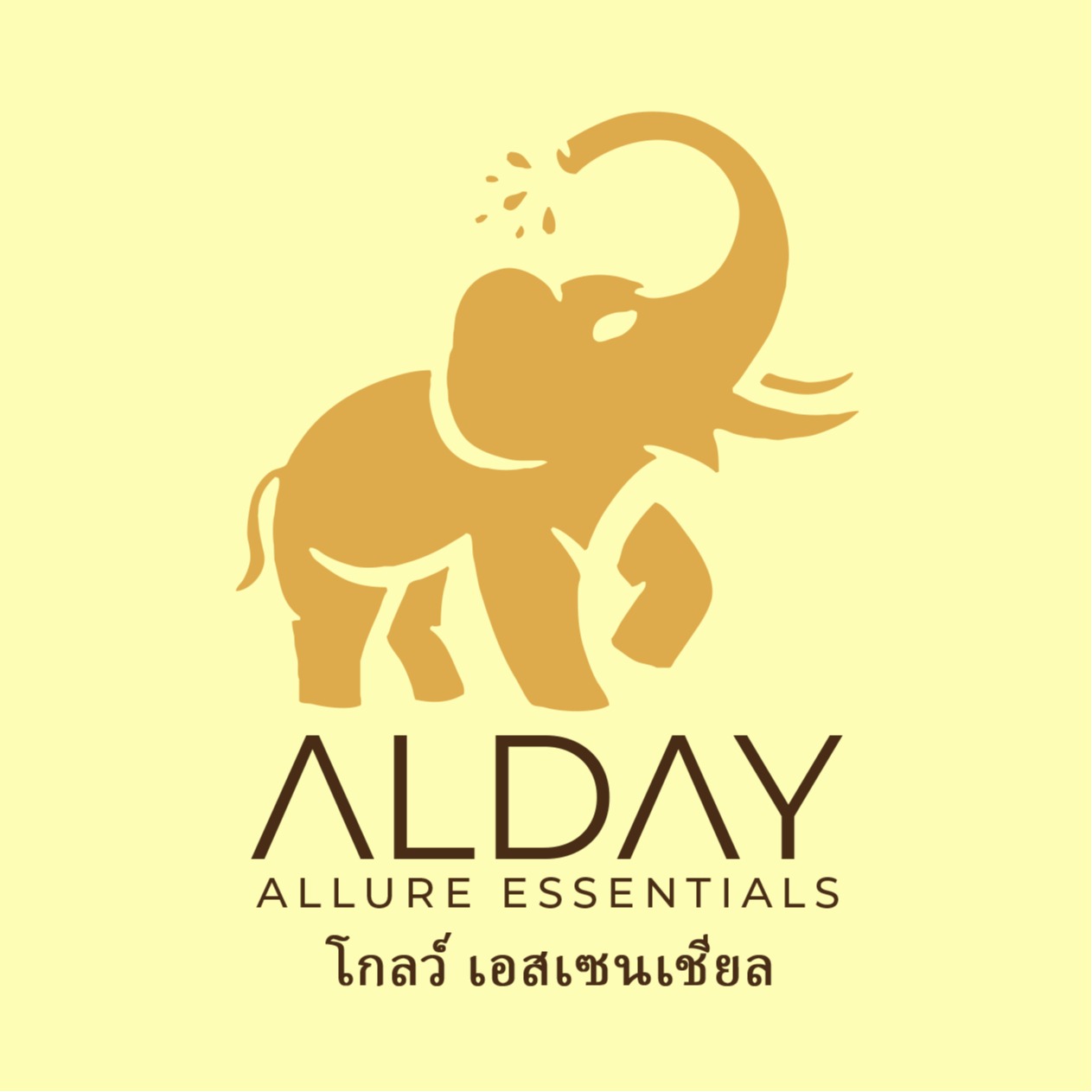Alday Allure Essentials, Online Shop | Shopee Philippines