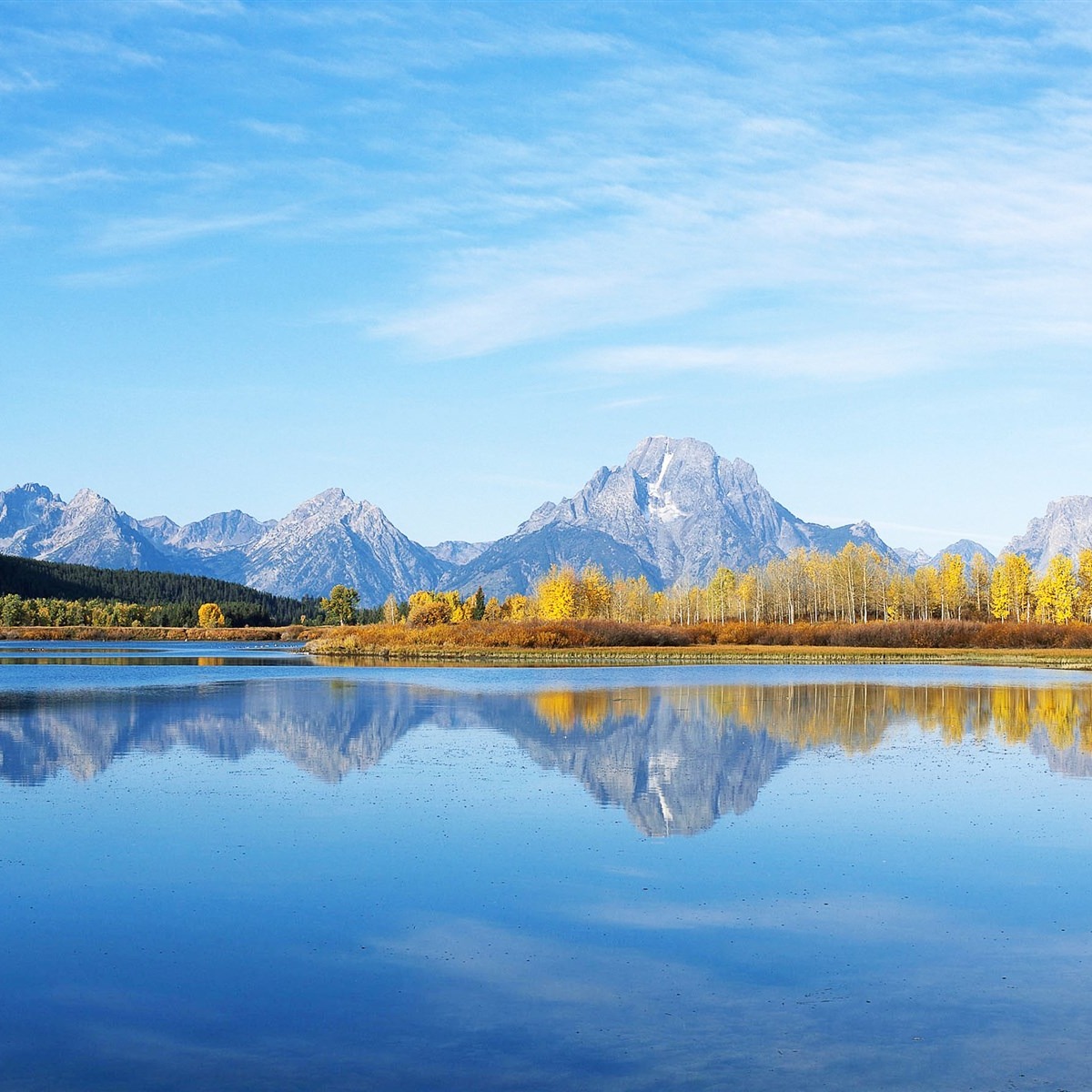 T rend Icon, Online Shop | Shopee Philippines