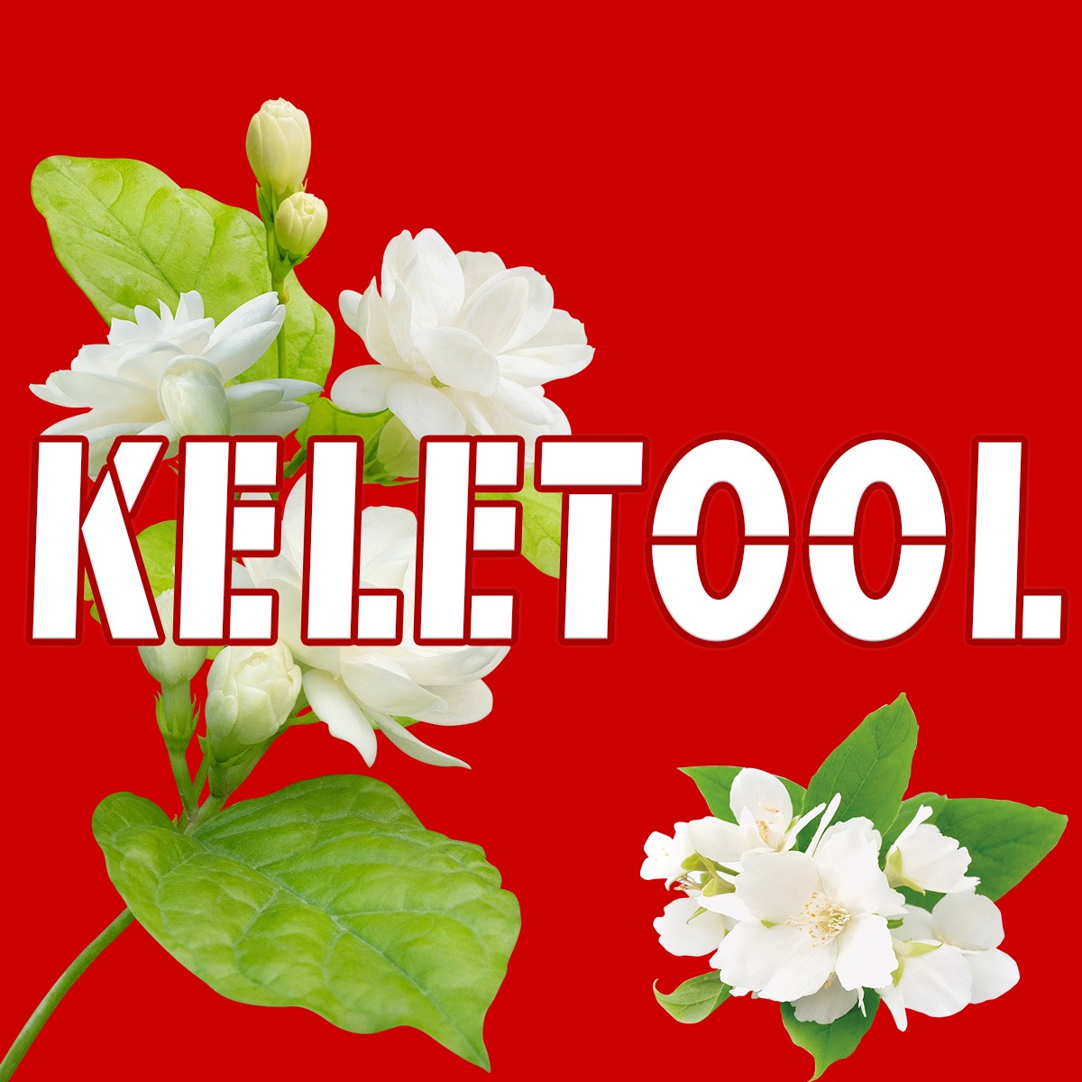 keletool.ph, Online Shop | Shopee Philippines