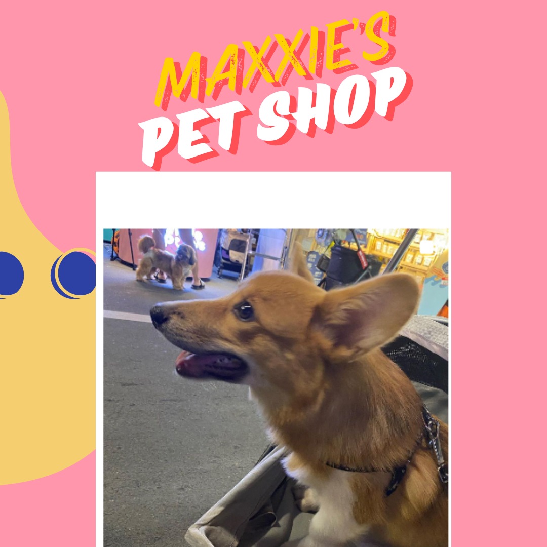 Maxxie's Pet Food and Supplies, Online Shop | Shopee Philippines