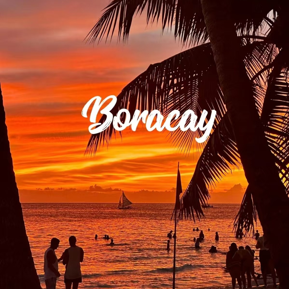 Shine Light, Online Shop | Shopee Philippines