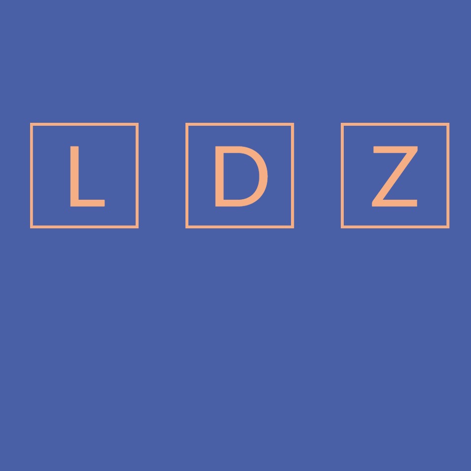 ZDL Play, Online Shop | Shopee Philippines