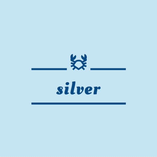 Silver PH, Online Shop | Shopee Philippines