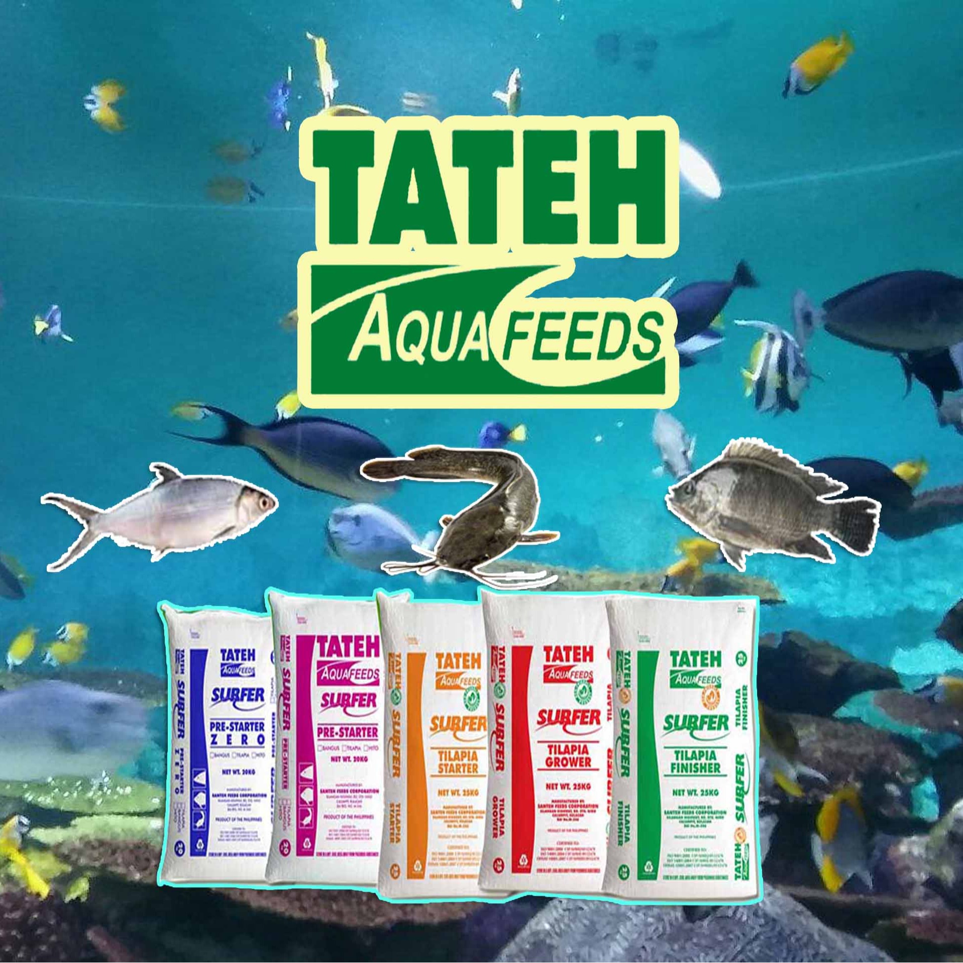 CAVITE TATEH FEEDS, Online Shop | Shopee Philippines