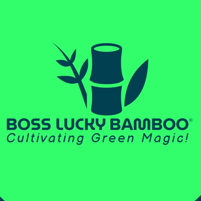 Mariel Tan Online Shop, Online Shop | Shopee Philippines