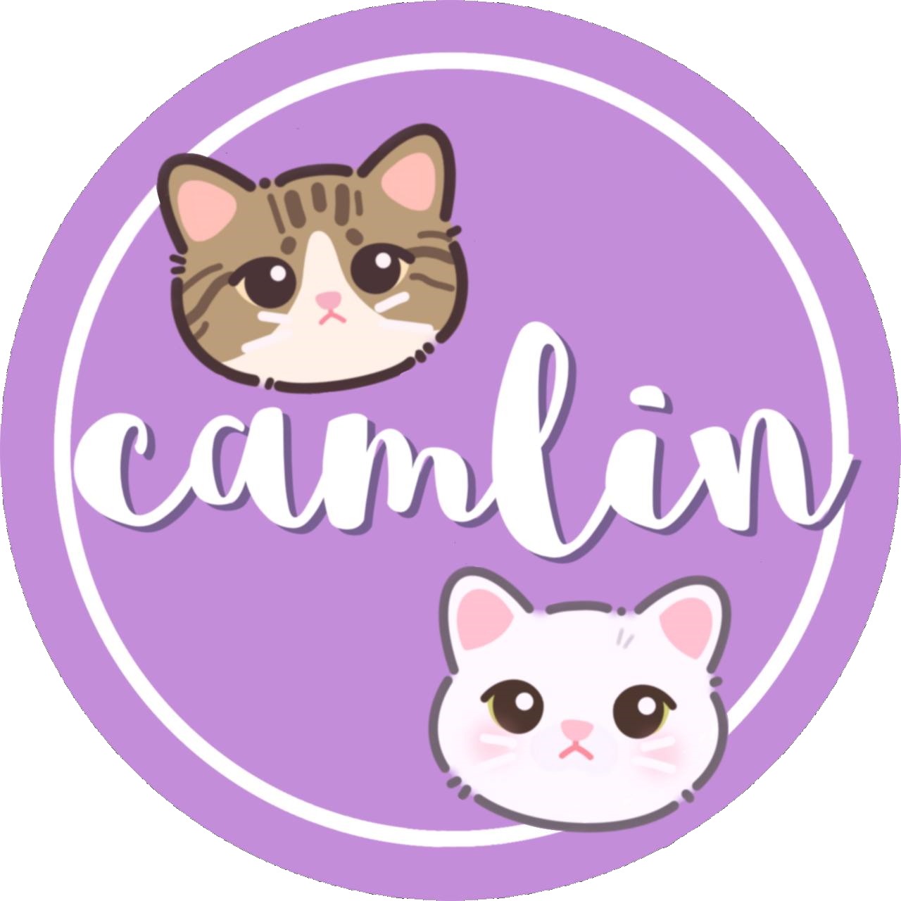 Camlin Arts and Crafts, Online Shop | Shopee Philippines